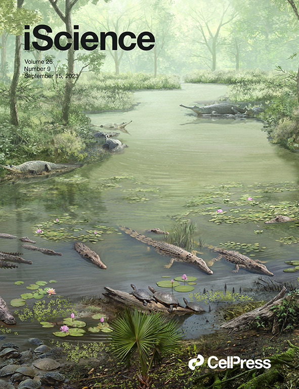 古脊椎所国际合作研究成果选登《iScience》封面 - 化石网